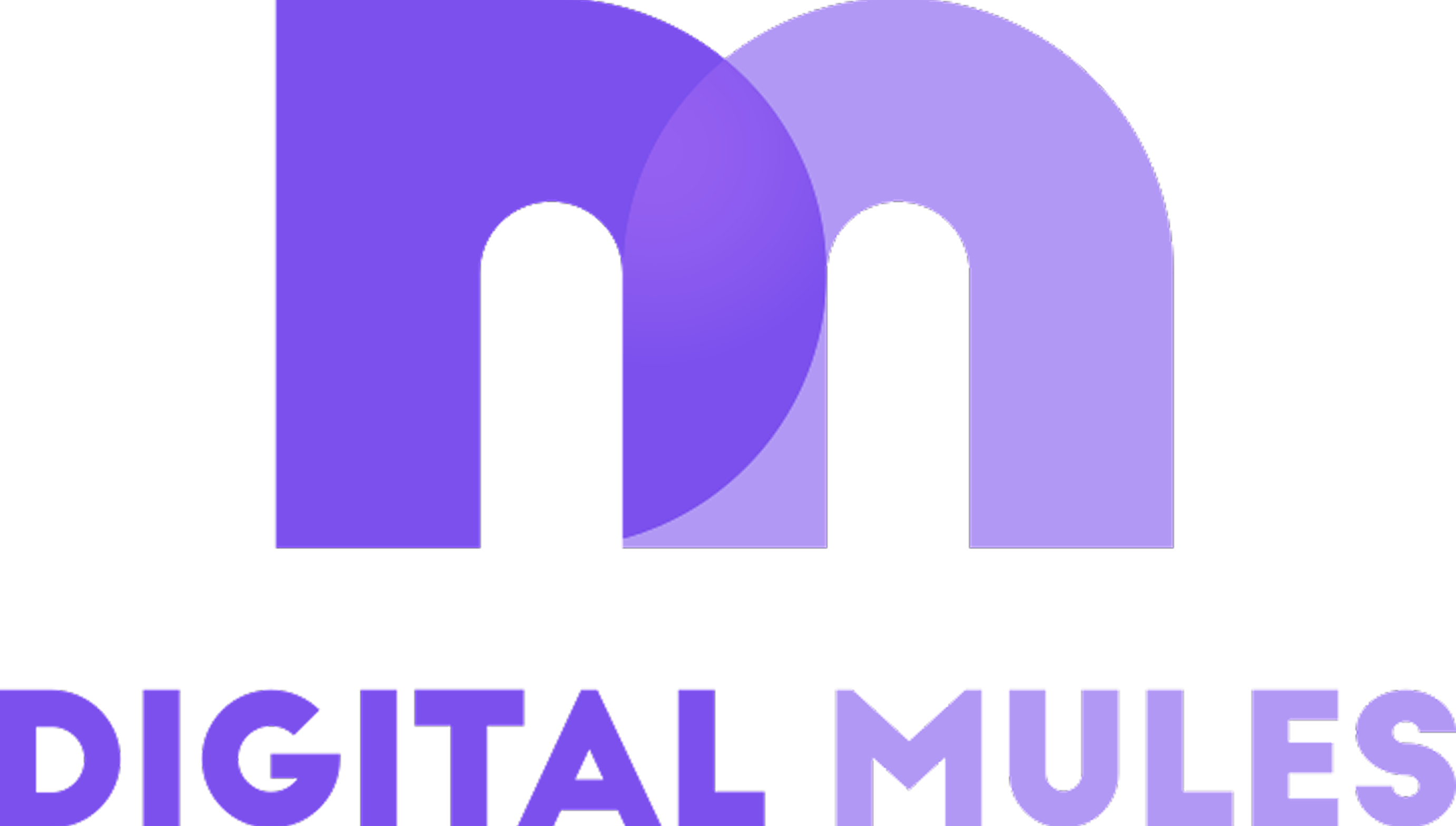 Thank you for contacting Digital Mules! - Digital Mules